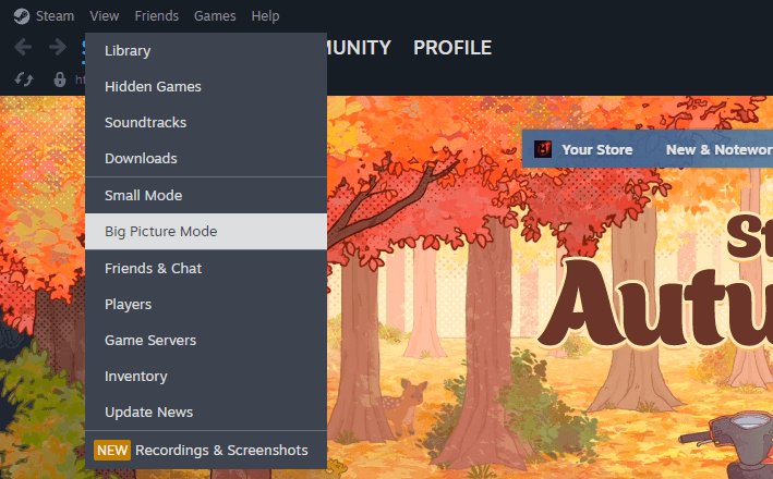 Steam Input – Betide Studio